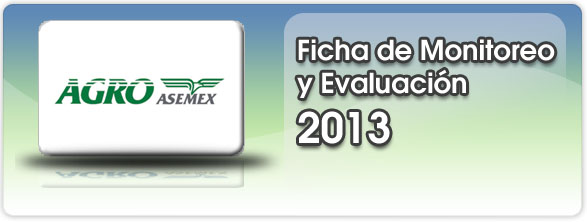 Ficha de Monitoreo y Evaluación 2013 AGROASEMEX, S.A.